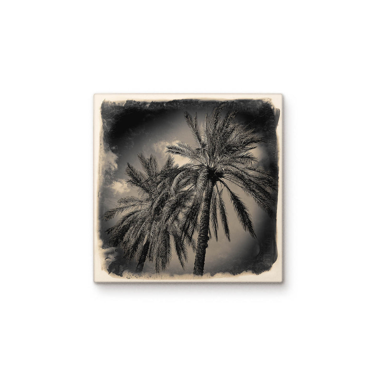 Palm Trees – Cityscape Tiles