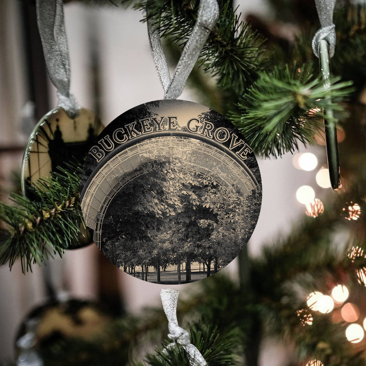 Buckeye Grove | Cityscape Tiles